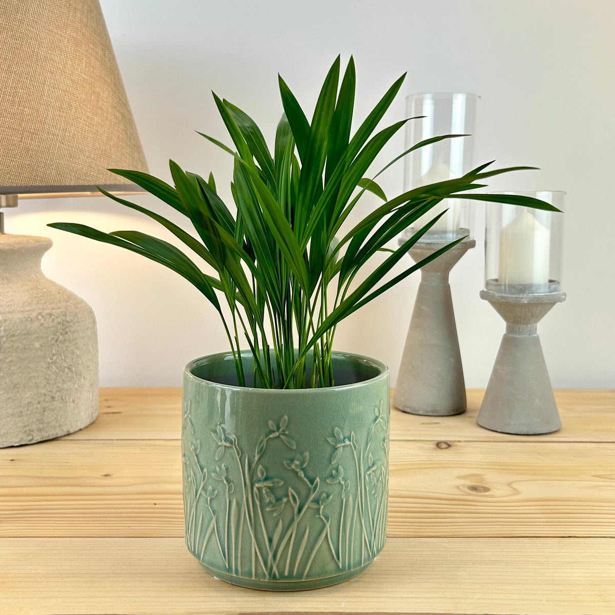 The Classic Spring Stems Plant Pot – Velvet Fern