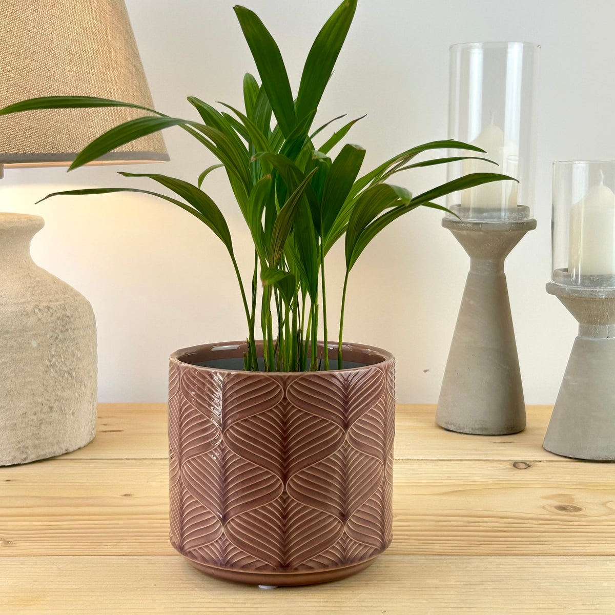 The Classic Wave Plant Pot – Velvet Fern