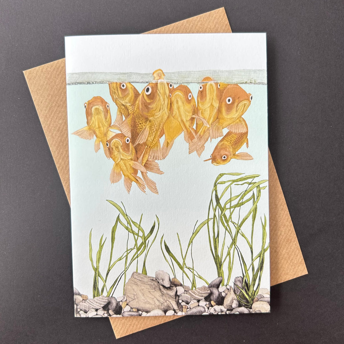 Goldfish – Velvet Fern